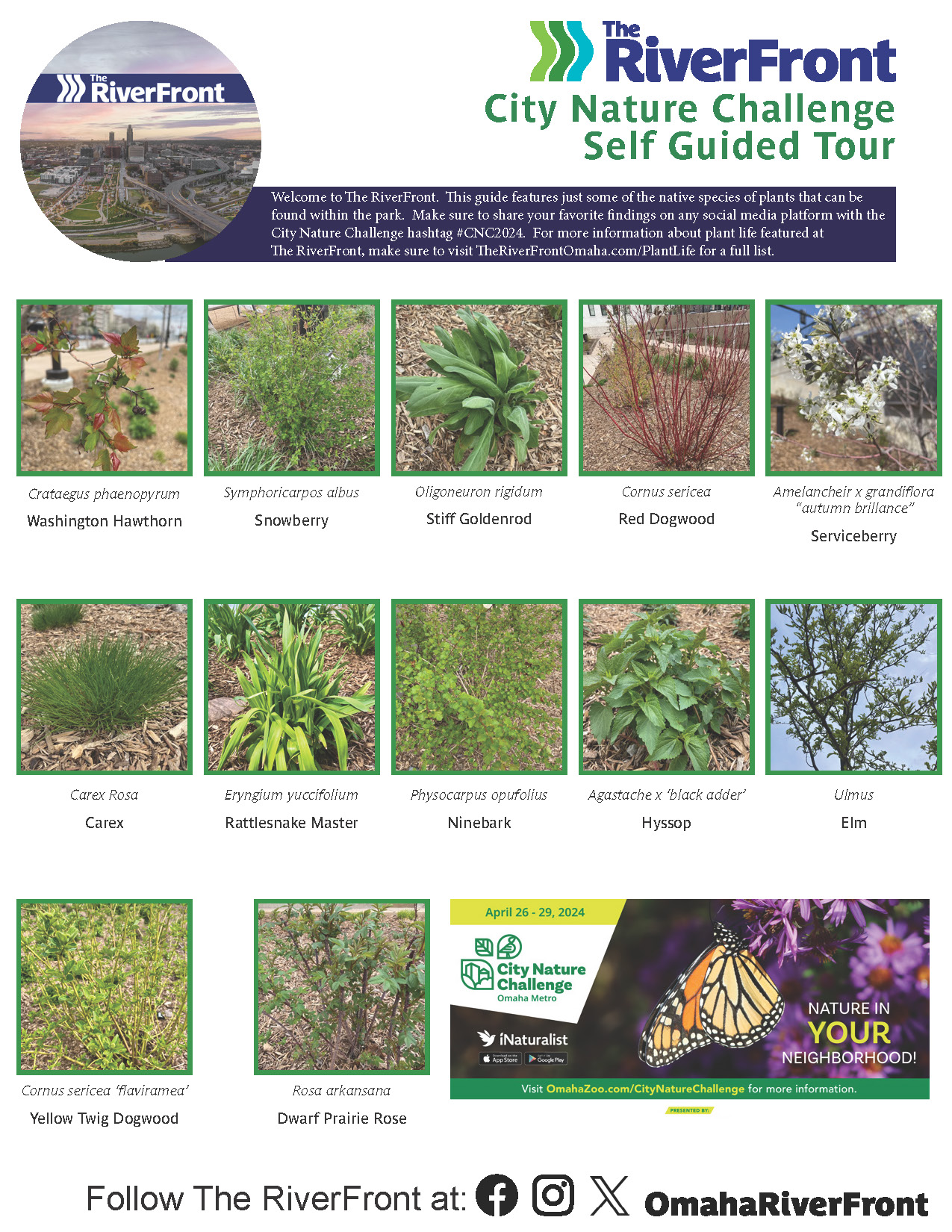 City Nature Challenge 2024 - The RiverFront