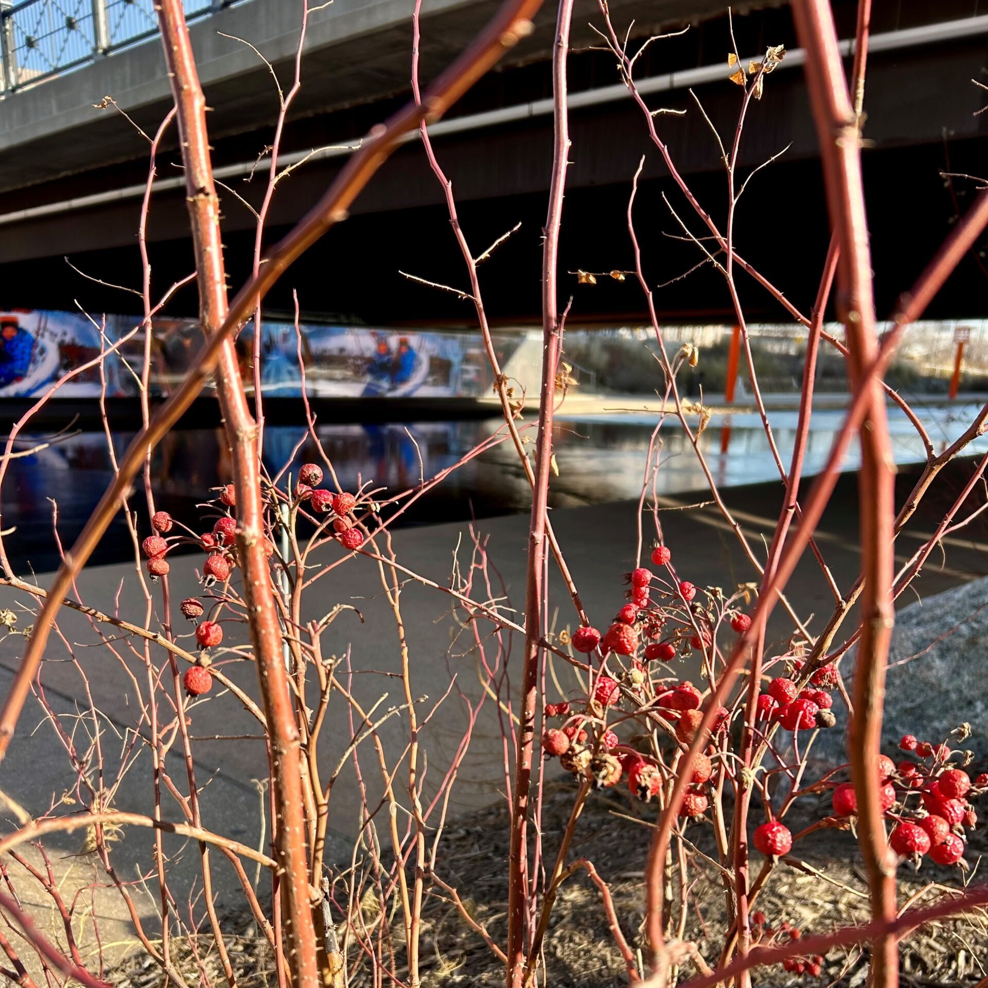 The RiverFront